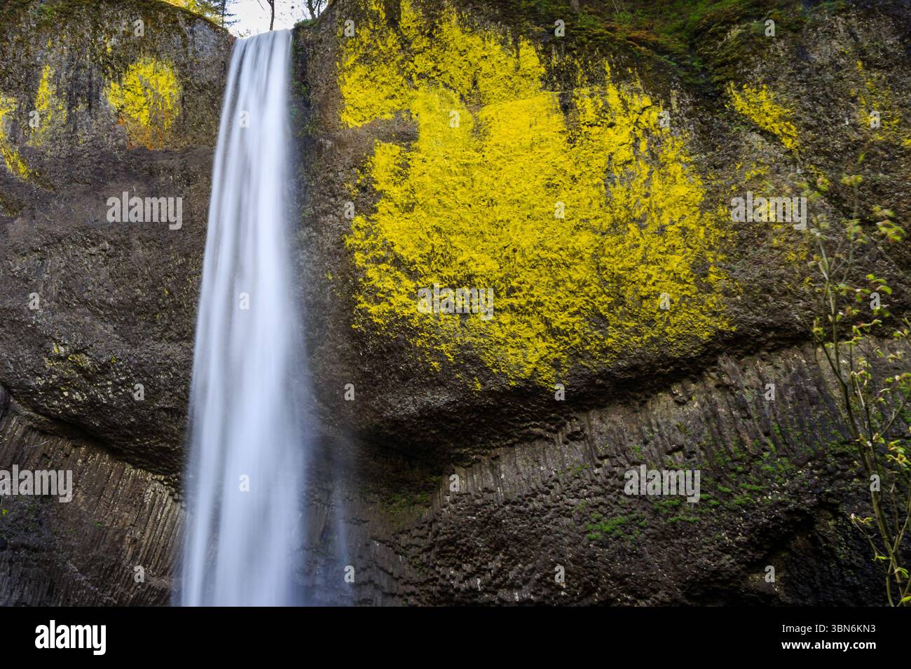 Columbia River Gorge, Oregon, USA - April 30th 2017:Latourell Falls ...