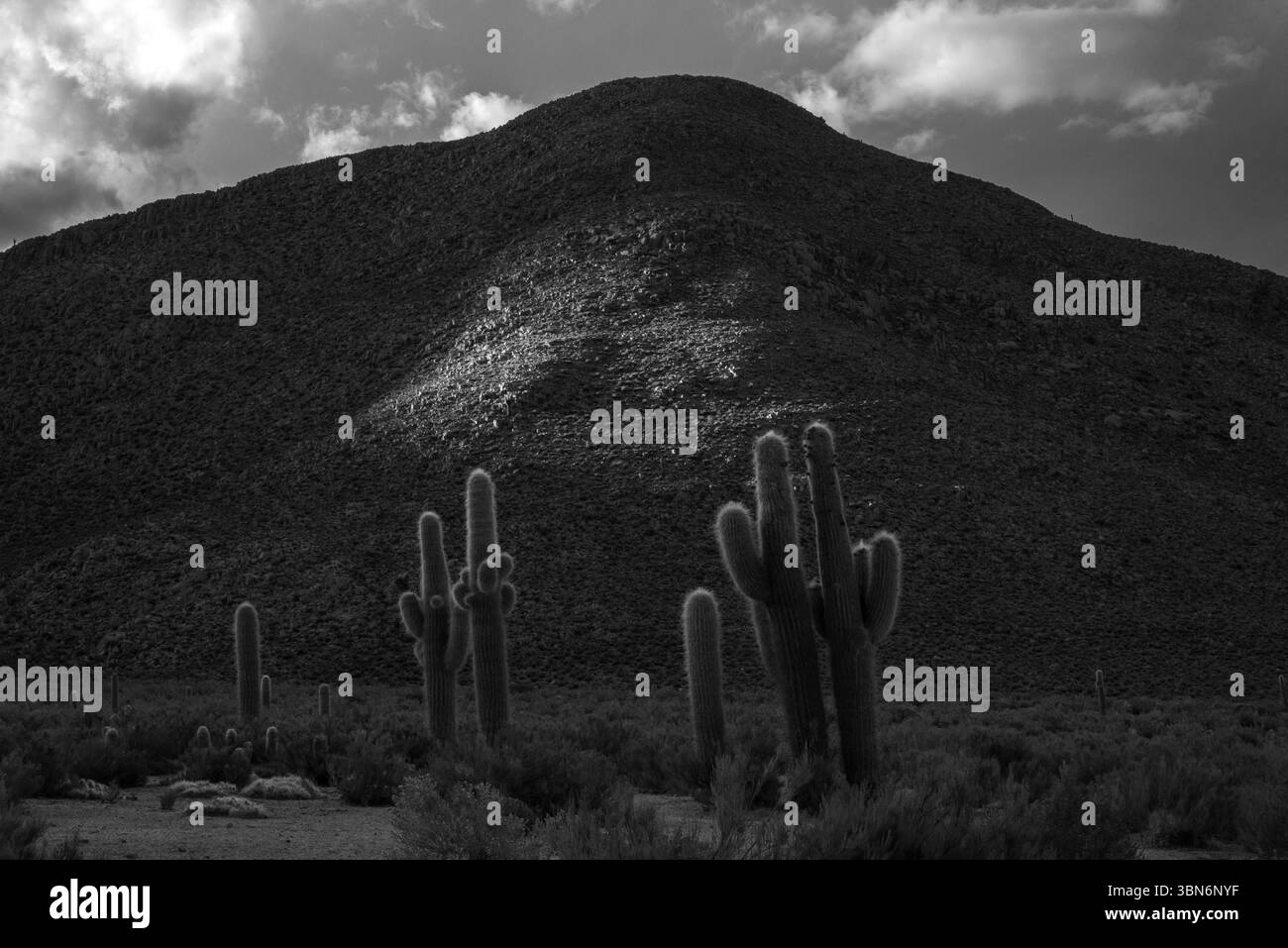 Desert dusk scene Black and White Stock Photos & Images - Alamy