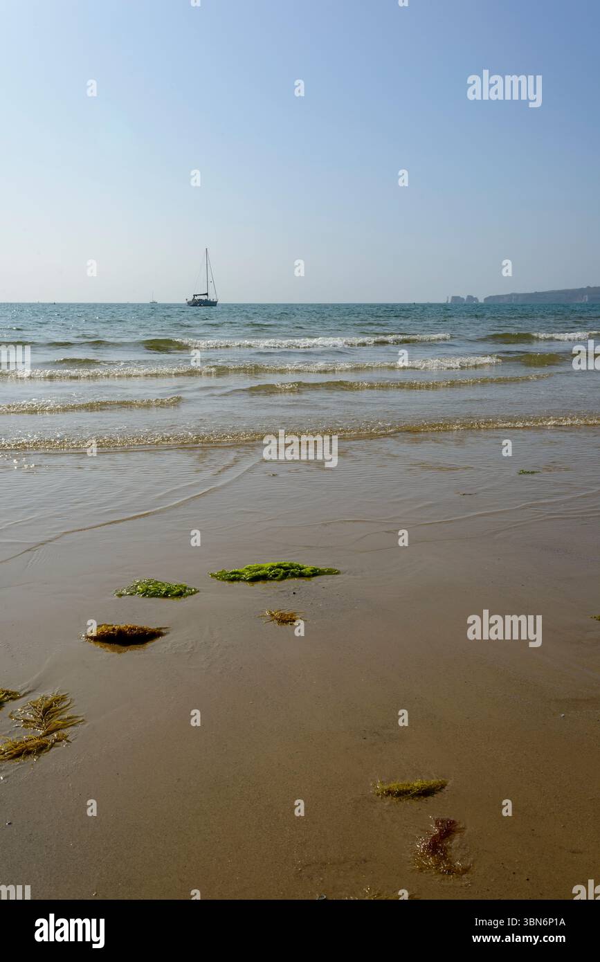 Shell bay dorset uk hi-res stock photography and images - Alamy