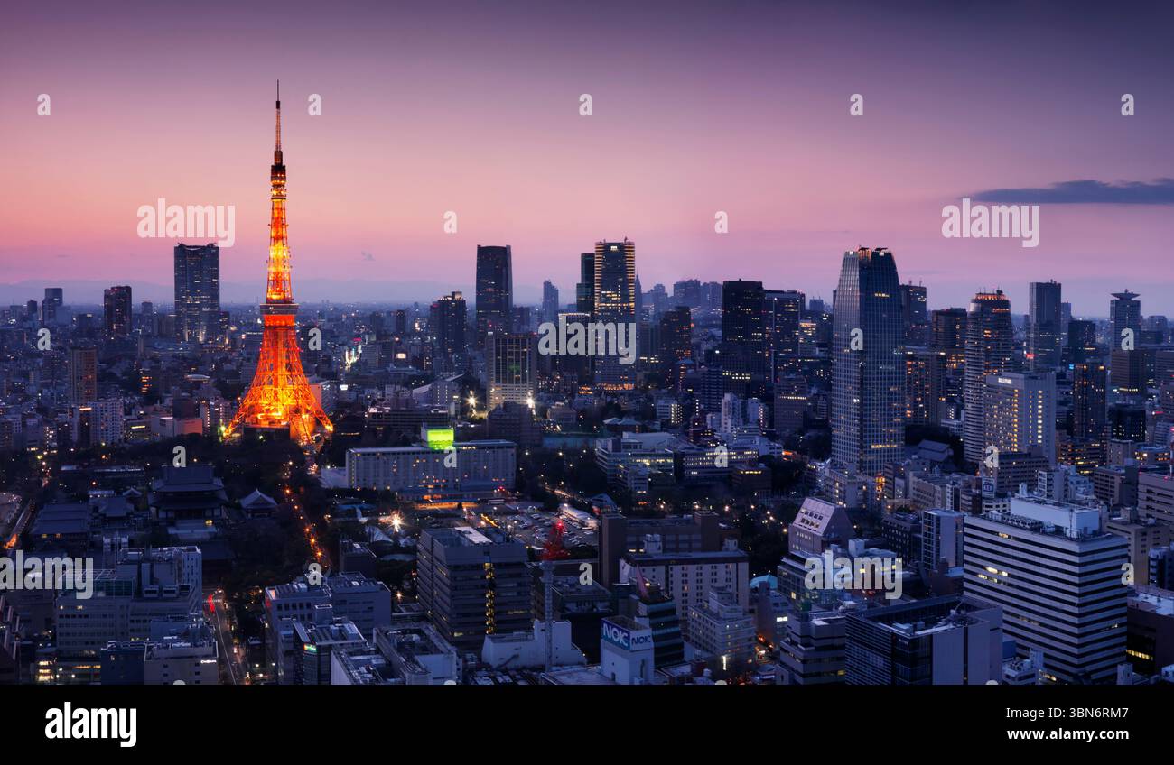 Aerial Tokyo city view with Tokyo tower illuminated in twilight ...