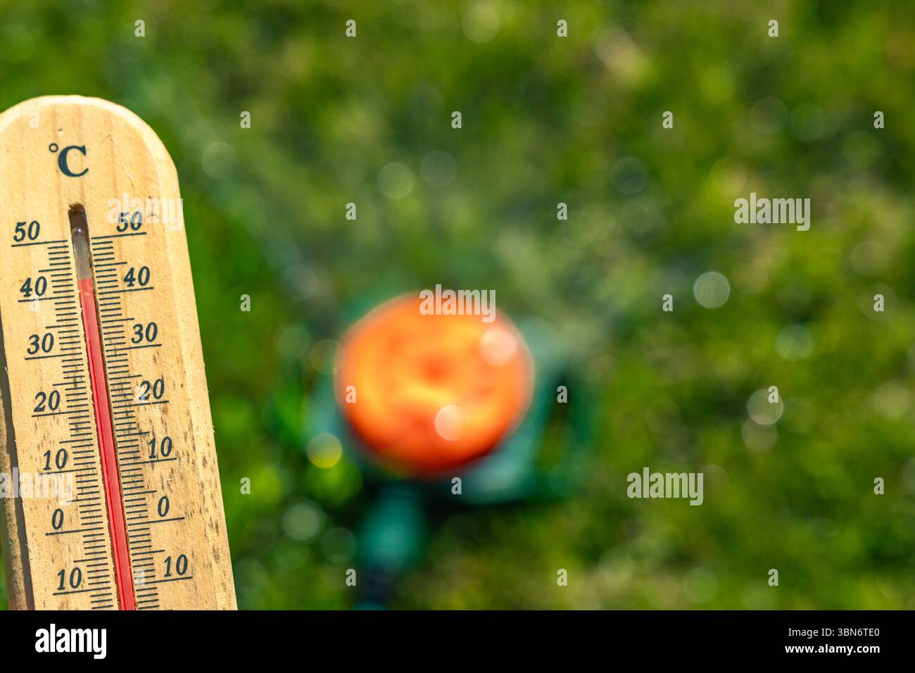 Measuring the temperature at high noon in the garden, a wooden ...