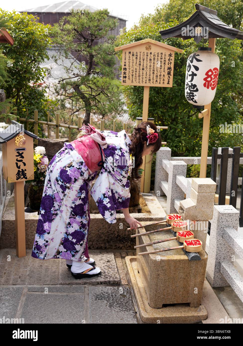 Young Japanese woman in kimono following a ritual at Jishu-Jinja ...