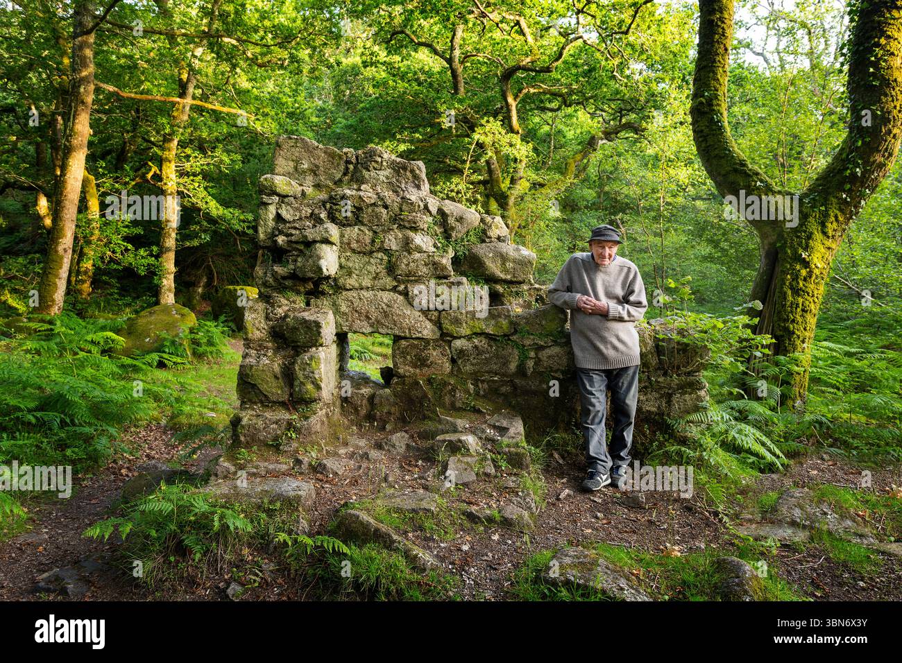 A portrait of John Davey FRPS, Cornish photographer. in woods near ...