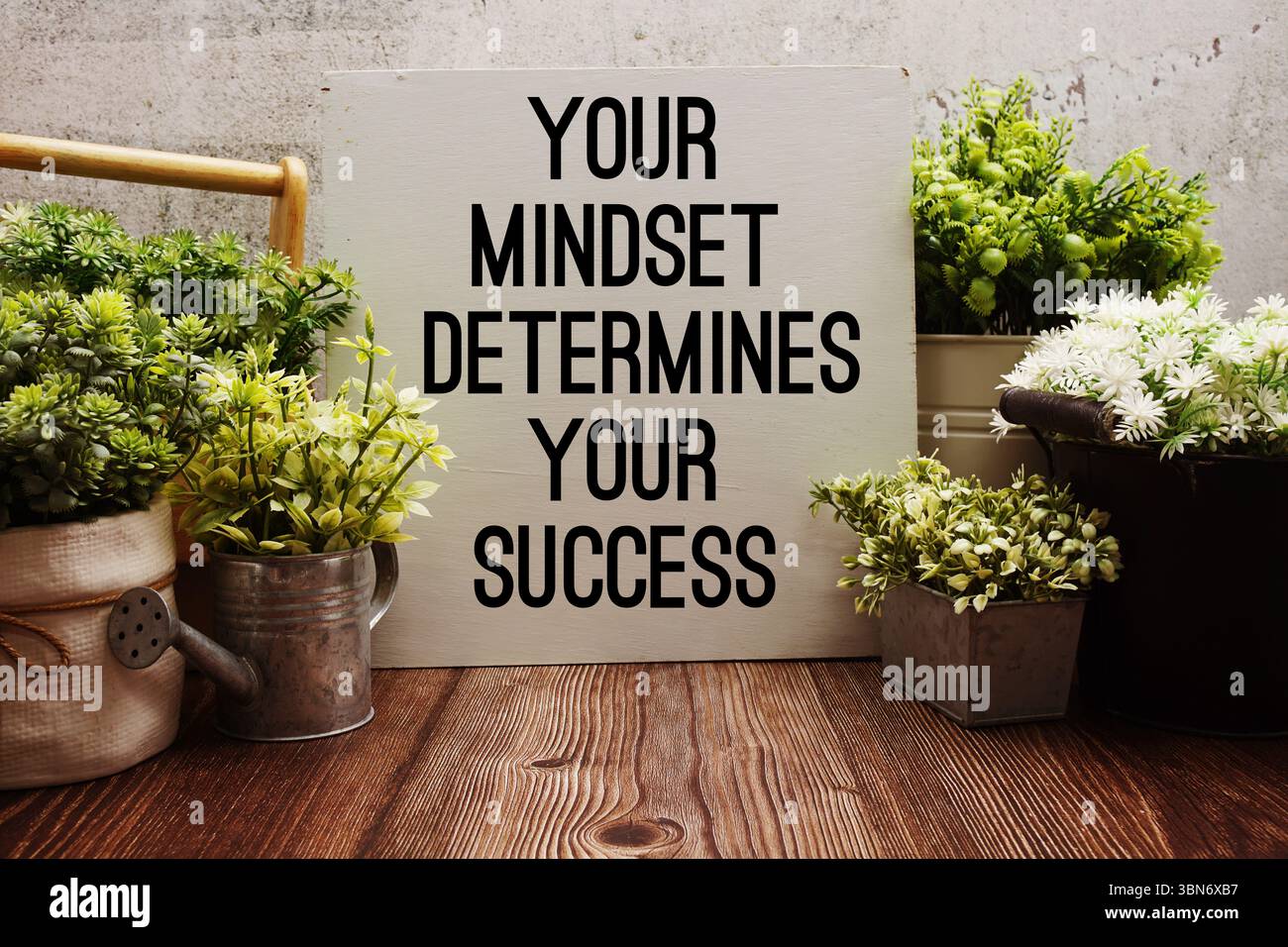 Your Mindset Determines Your Success Motivational and Inspirational ...