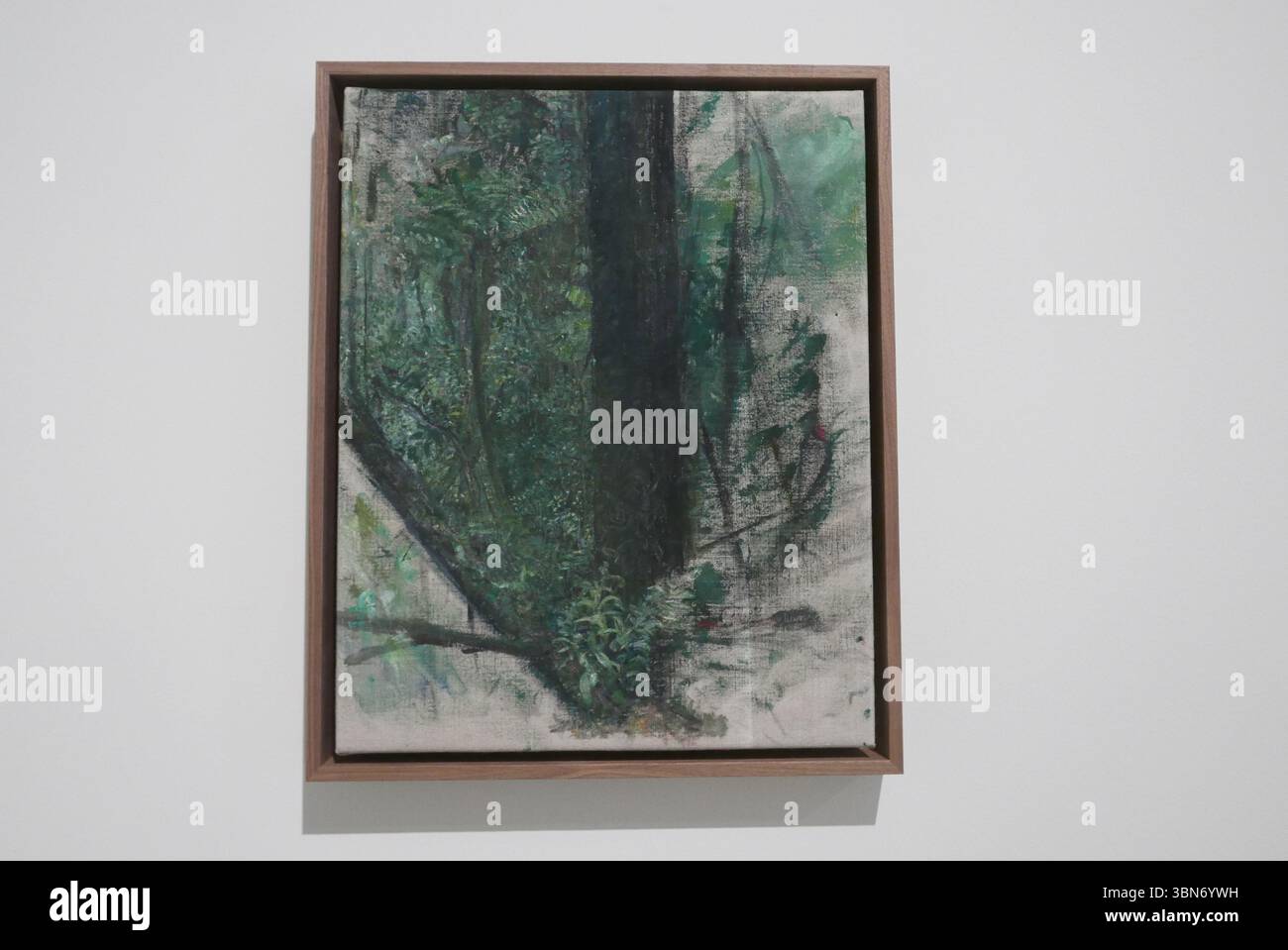 HALEY MELLIN - SIAMO NATURA al Museo Novecento di Firenze (copyright by ...