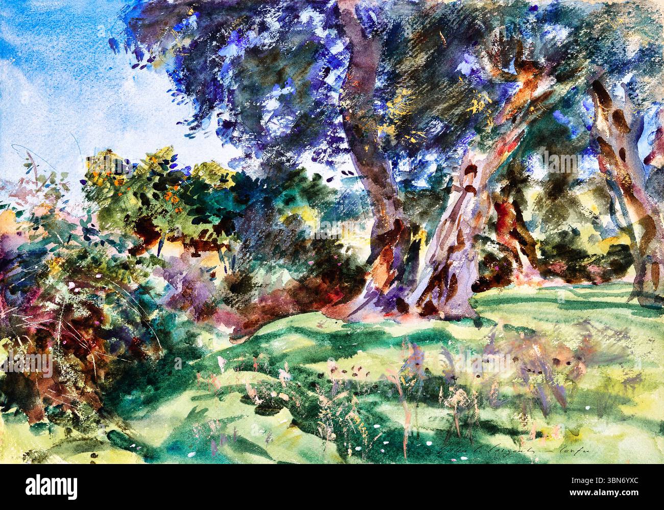Olive Trees, Corfu by John Singer Sargent, 1909 Landscape Painting ...