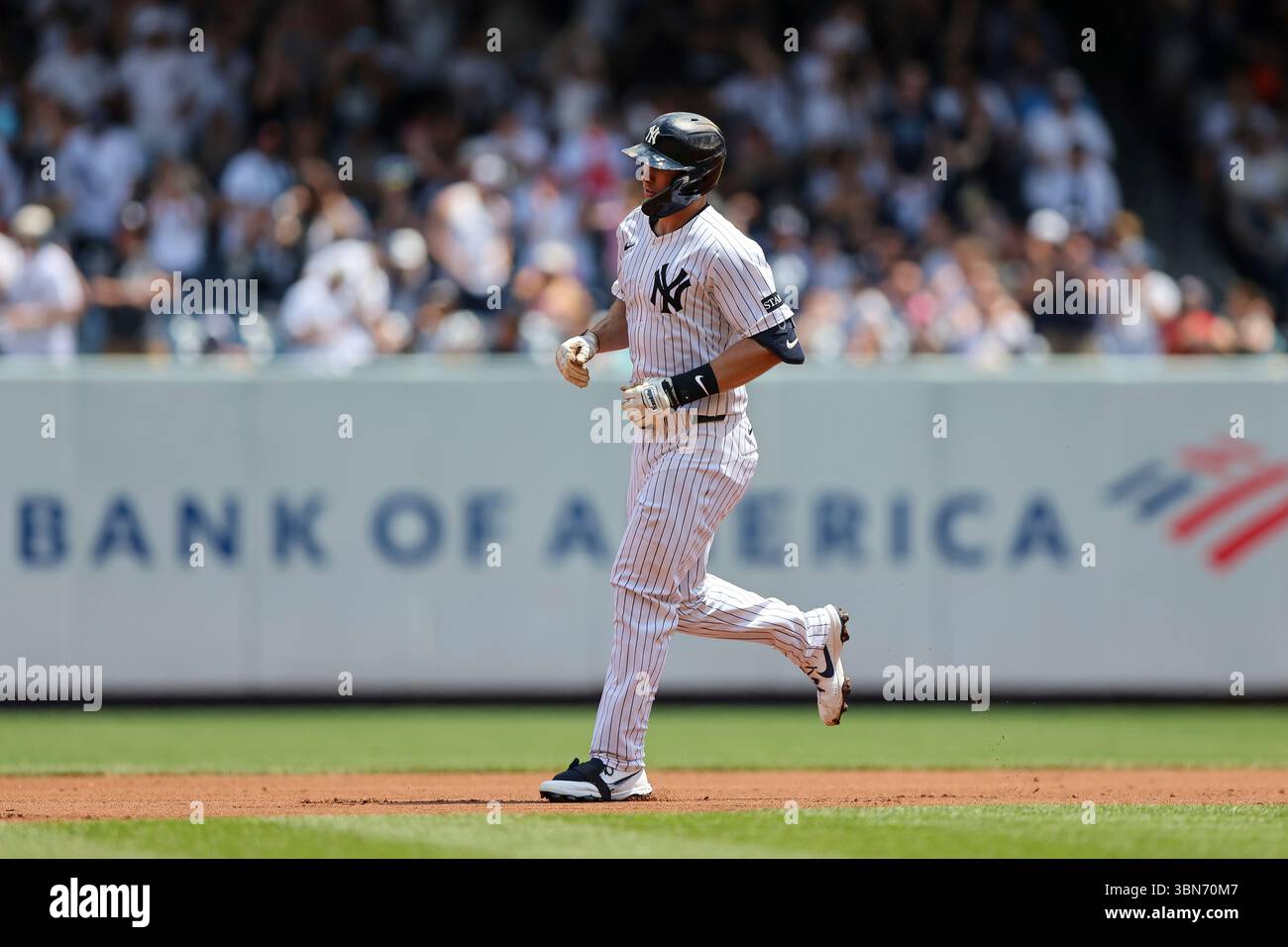 BRONX, NY - JUNE 19: New York Yankees first base Paul Goldschmidt (48 ...