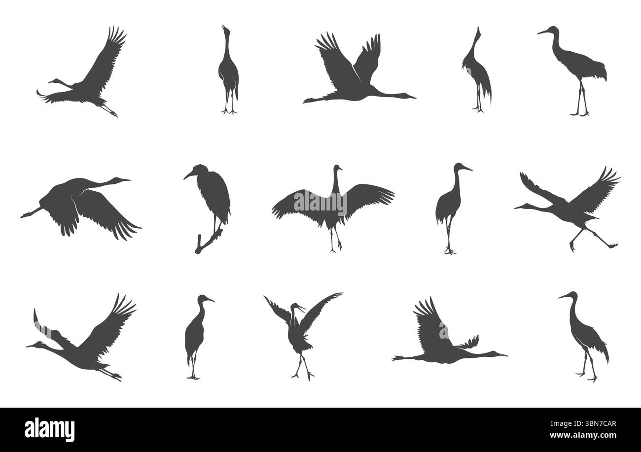 Crane bird svg, Crane bird silhouette, Japanese crane svg, Sandhill ...
