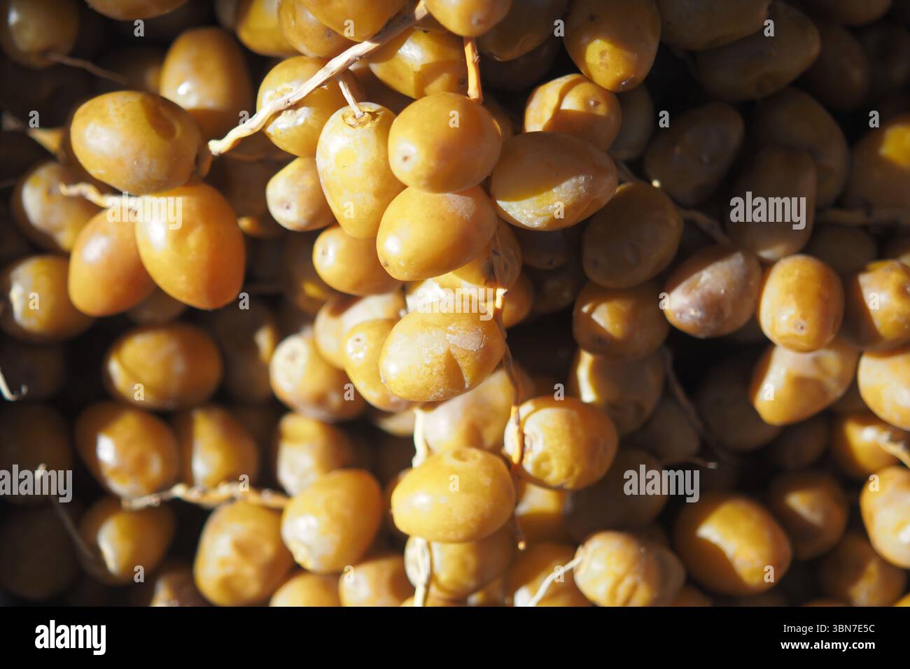 Fresh yellow dates on display at a market stall Stock Photo - Alamy