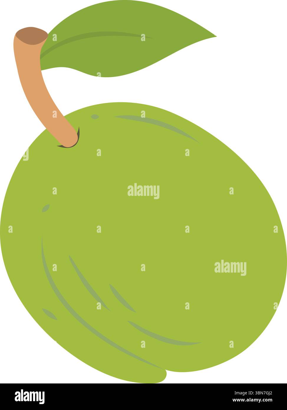 Guava logo Cut Out Stock Images & Pictures - Alamy