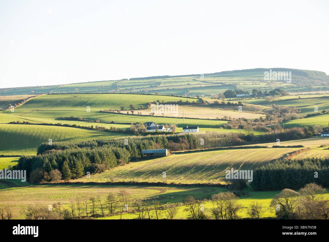Beautiful green forest hills hi-res stock photography and images - Alamy