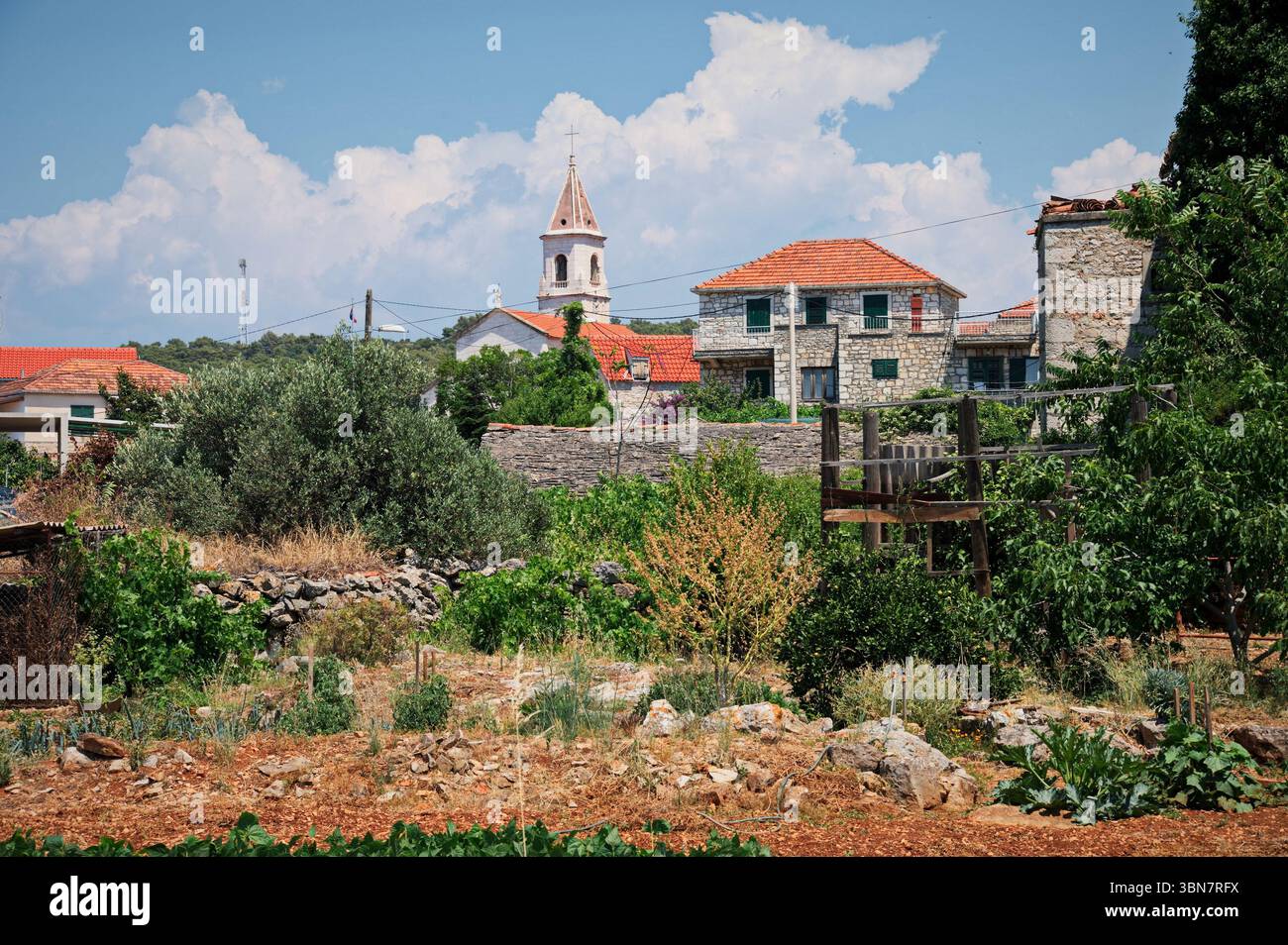 Traditional village on island Solta in Croatia Stock Photo - Alamy