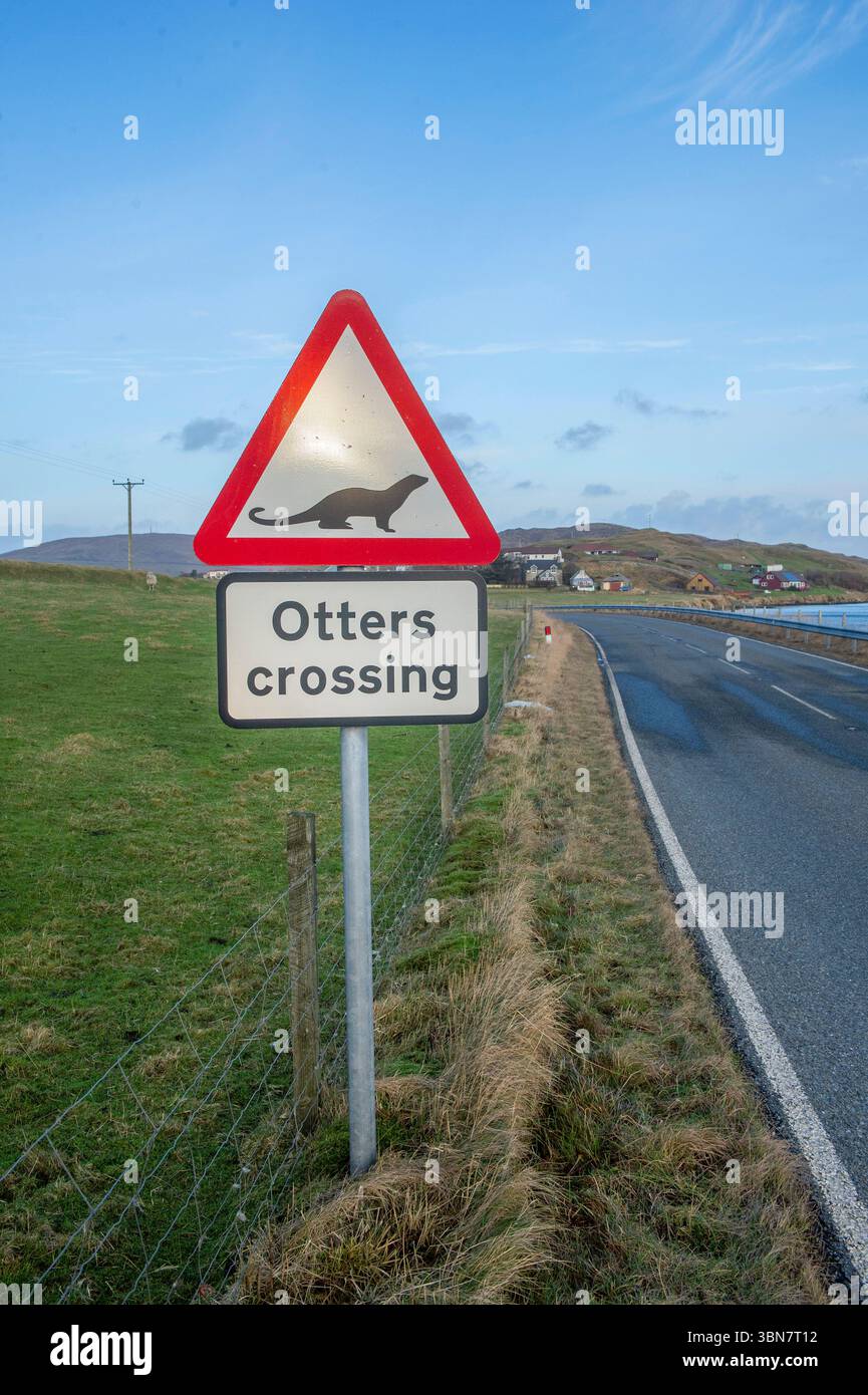 An otter crossing warning sign stands beside a quiet Shetland road — a ...