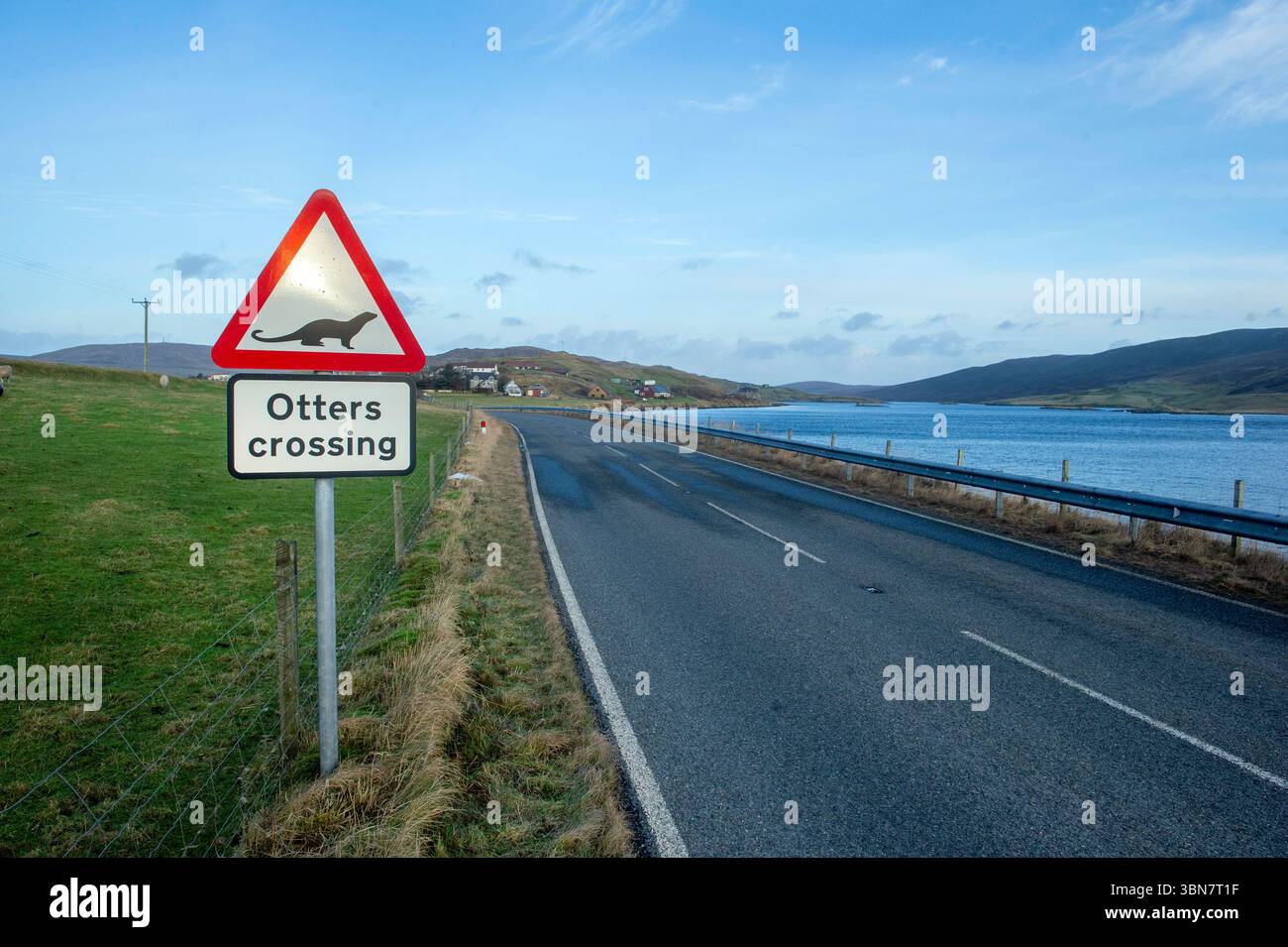 An otter crossing warning sign stands beside a quiet Shetland road — a ...