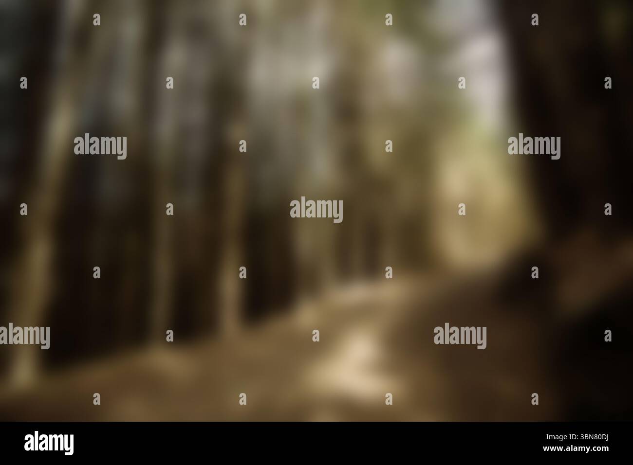 Blurry park scene green trees hi-res stock photography and images - Alamy