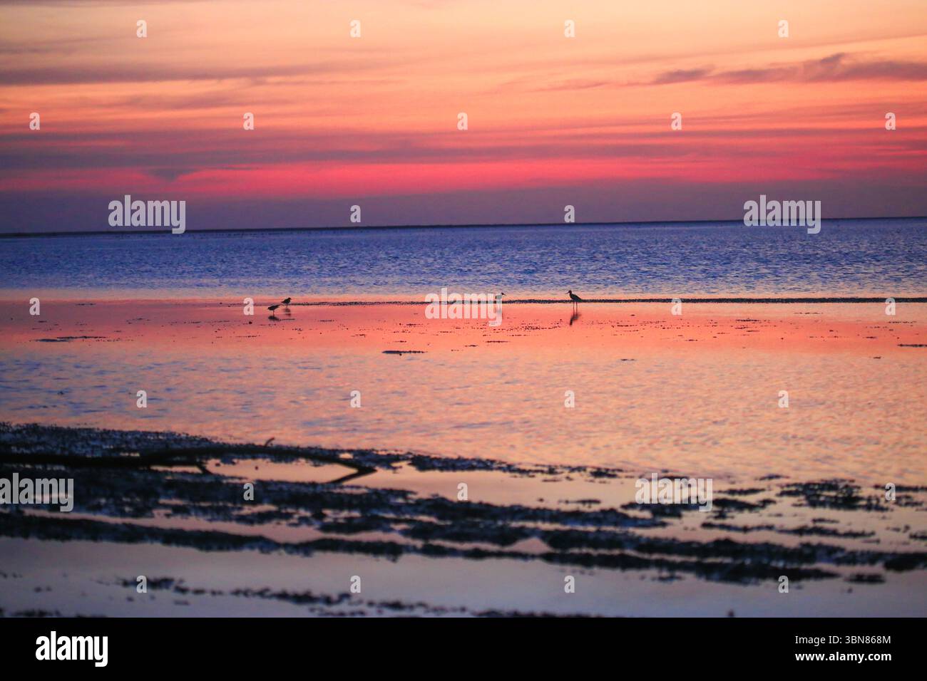 Beautiful Sunset in Adam's Bridge view point, Talaimannar, Sri Lanka ...