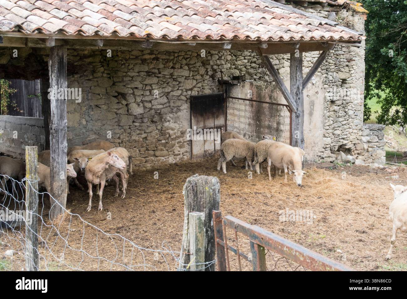 Old stone farm building in Duras, France Stock Photo - Alamy
