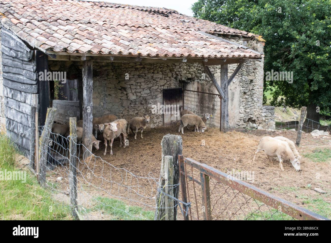 Stone farm building hi-res stock photography and images - Alamy