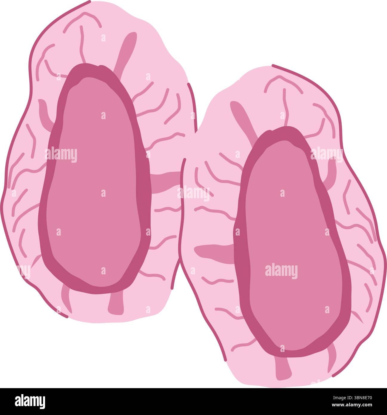 antistatic disposable shoe covers cartoon vector illustration Stock ...