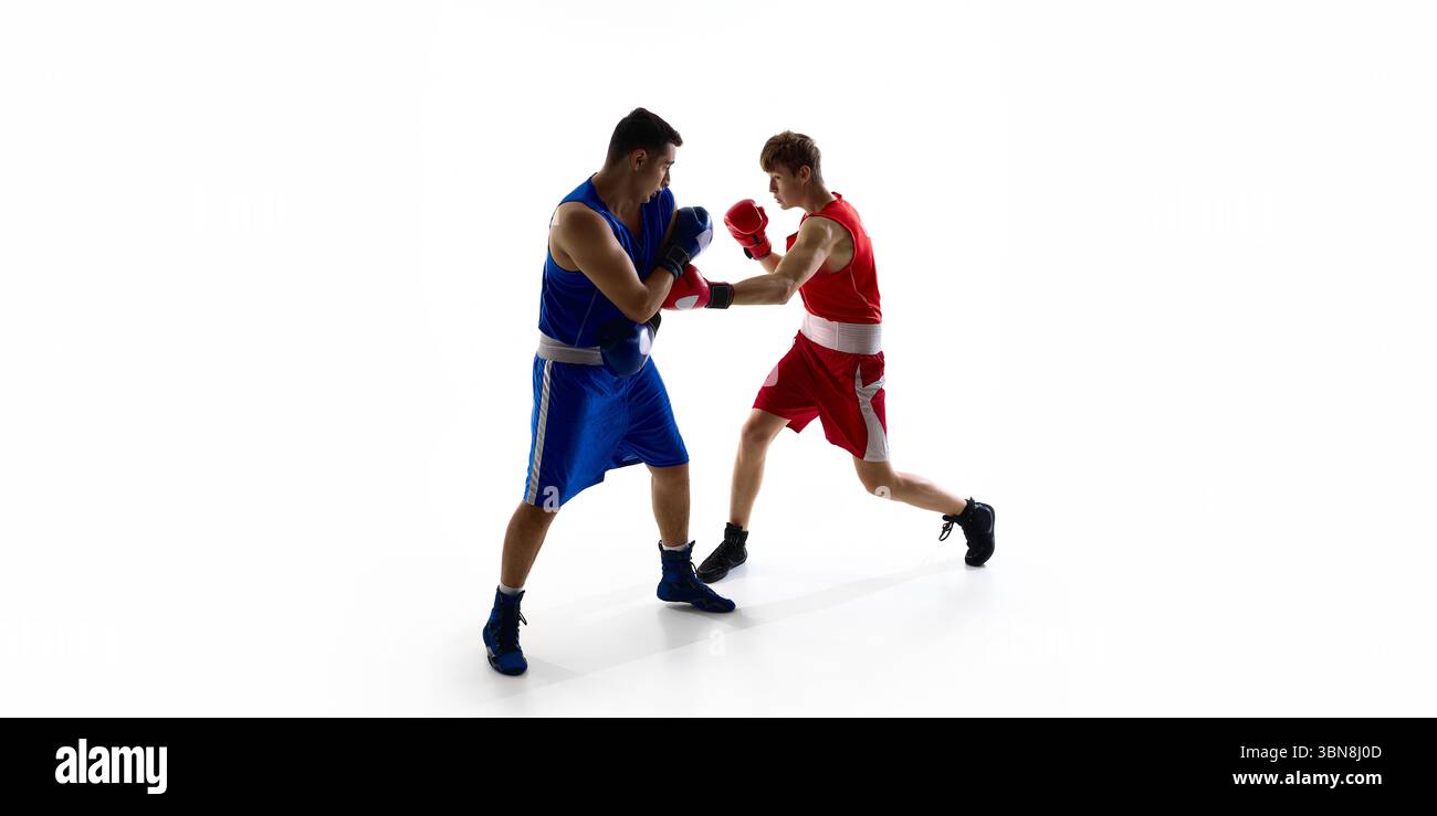 Two boxers facing off on white background in action poses Stock Photo ...