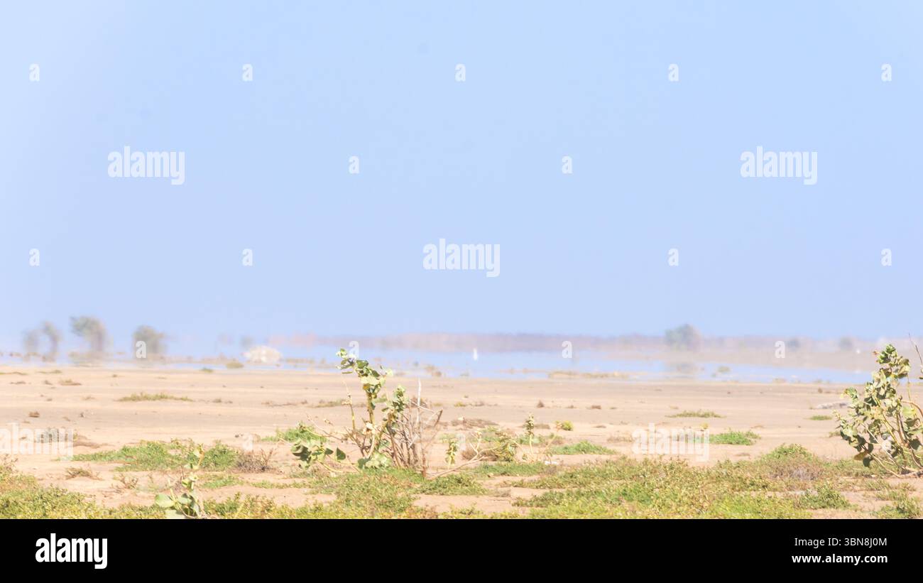 Desert land cape hi-res stock photography and images - Alamy