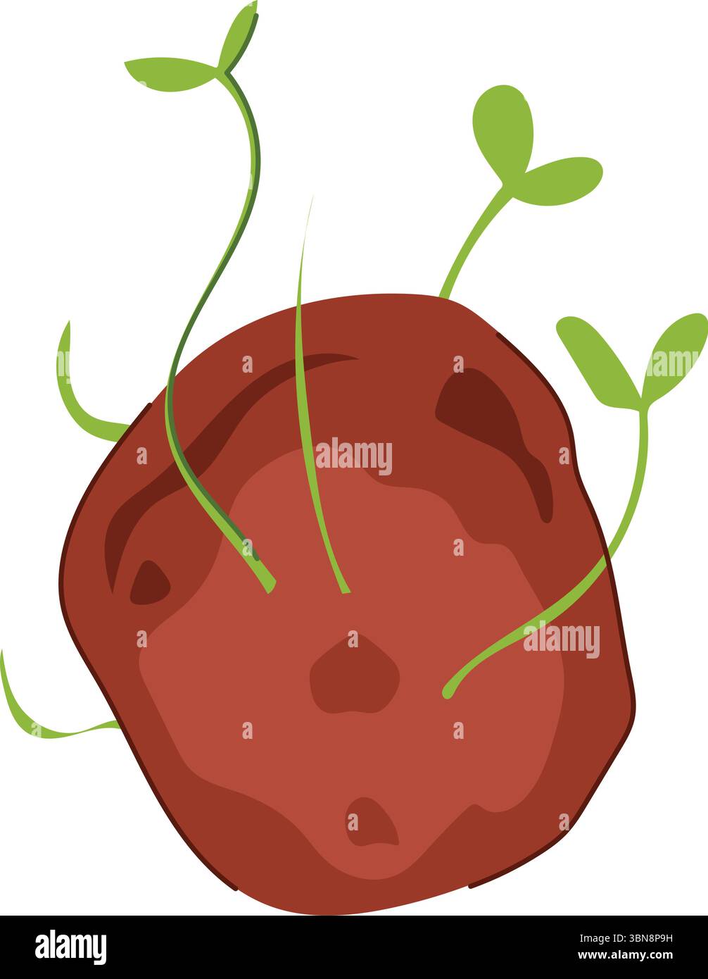 Native biodiversity Cut Out Stock Images & Pictures - Alamy