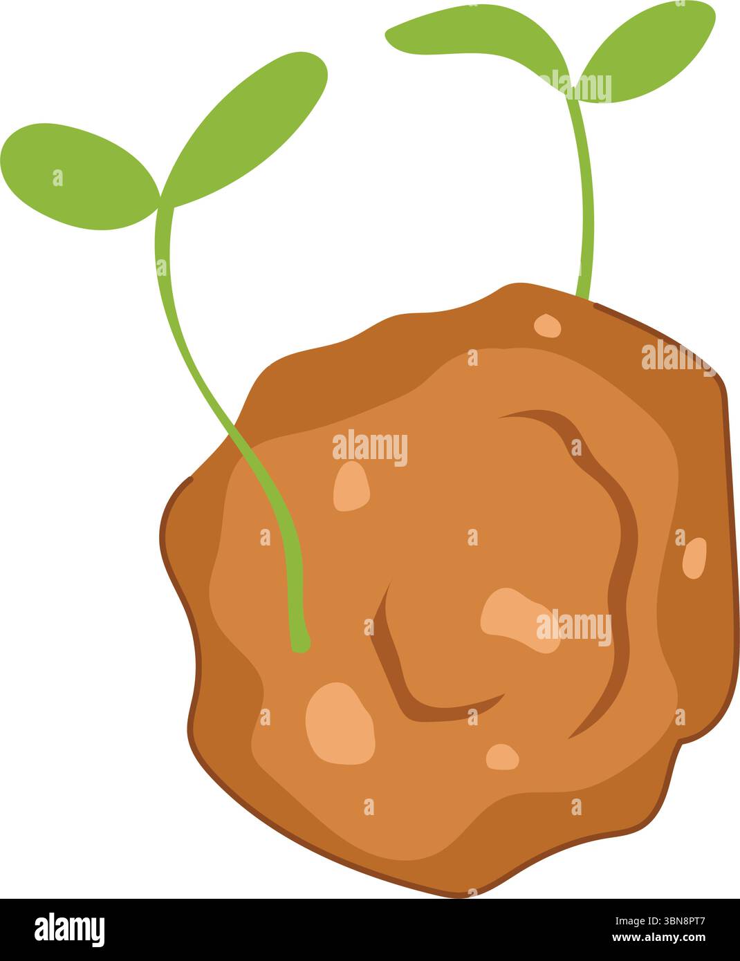 Pollinators habitat Cut Out Stock Images & Pictures - Alamy