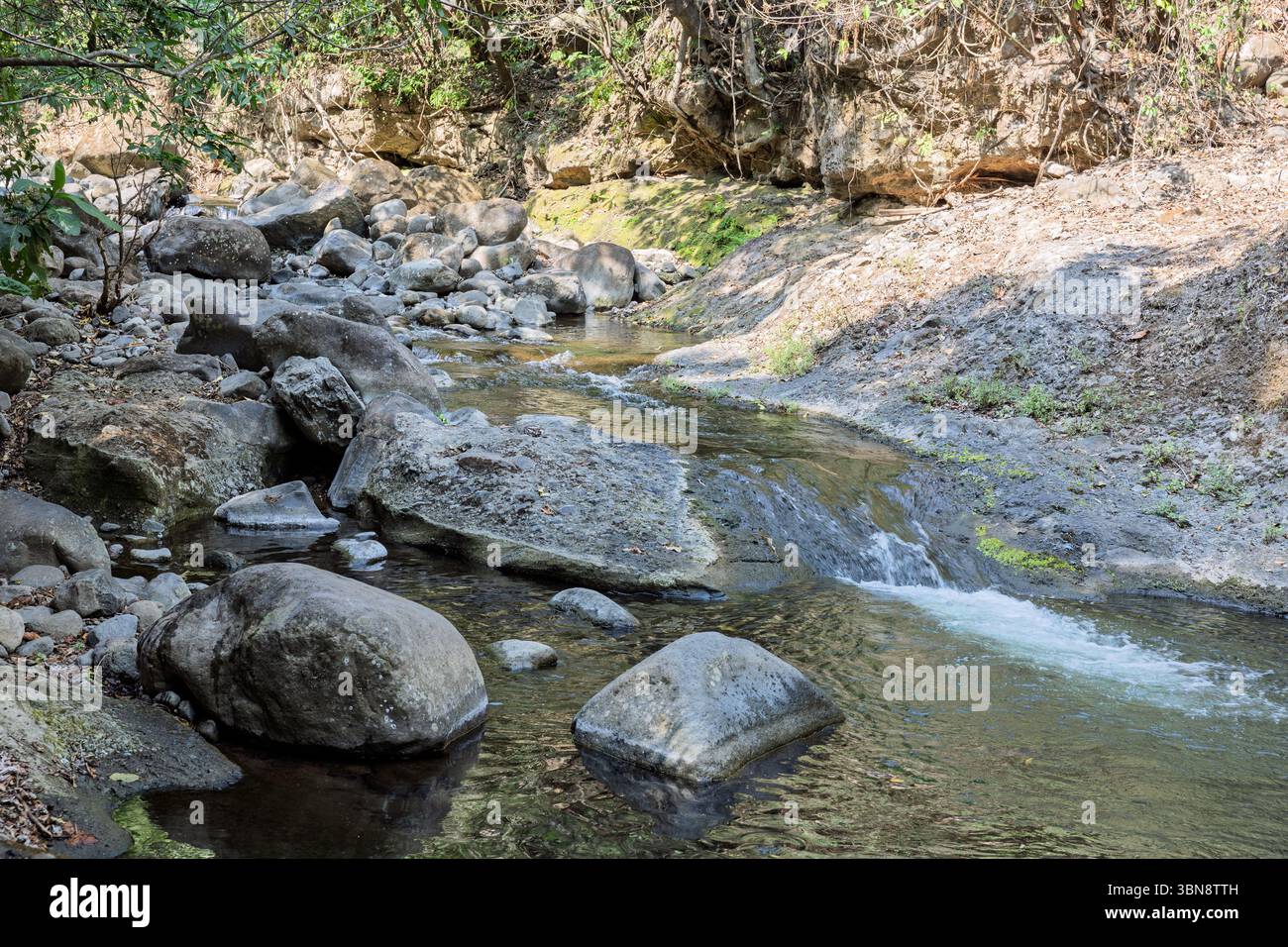 River, El Imposible National Park, El Salvador - tropical forest ...