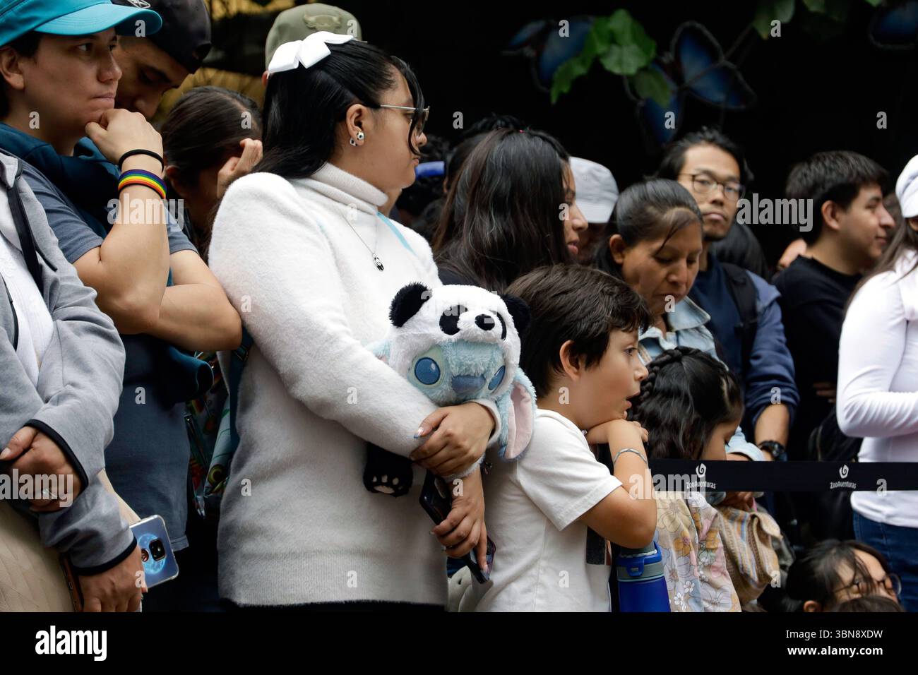 35th Birthday Celebration For A Giant Panda Xin Xin People attend the ...
