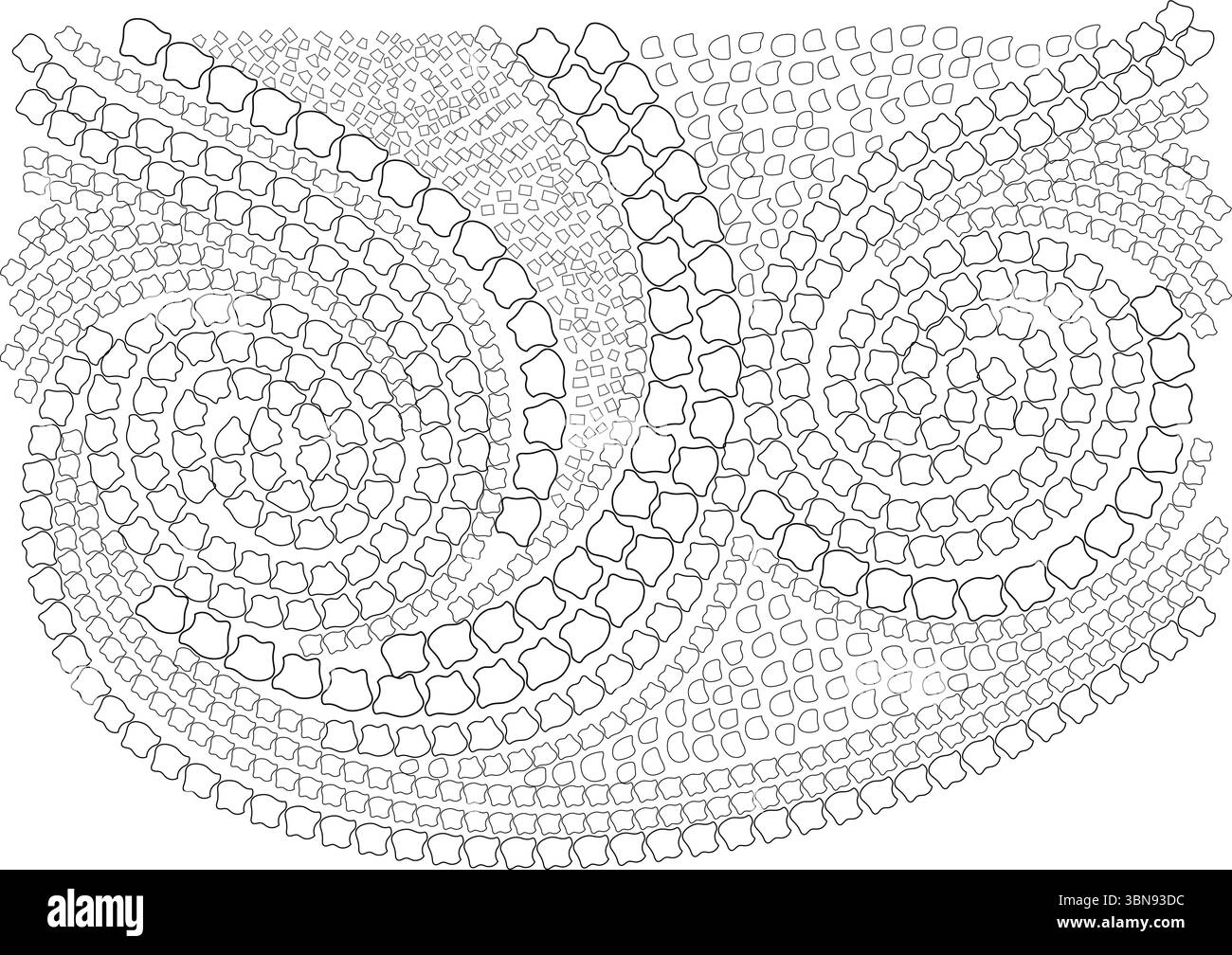 Aesthetic angles Stock Vector Images - Alamy