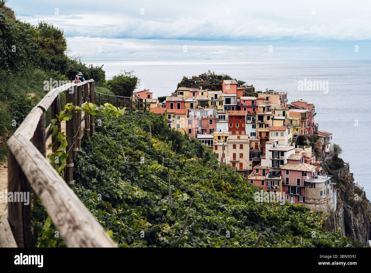 The town of Manorola in the Cinque Terre National Park. The panorama of Manarola is one of the ...