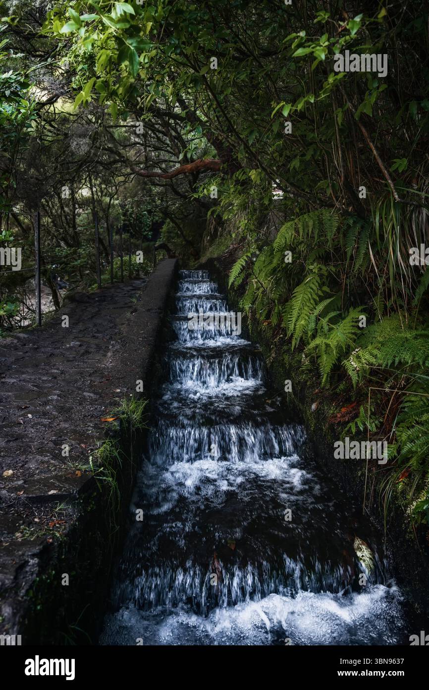 Trekking routes on the levadas on the island of Madeira Stock Photo - Alamy