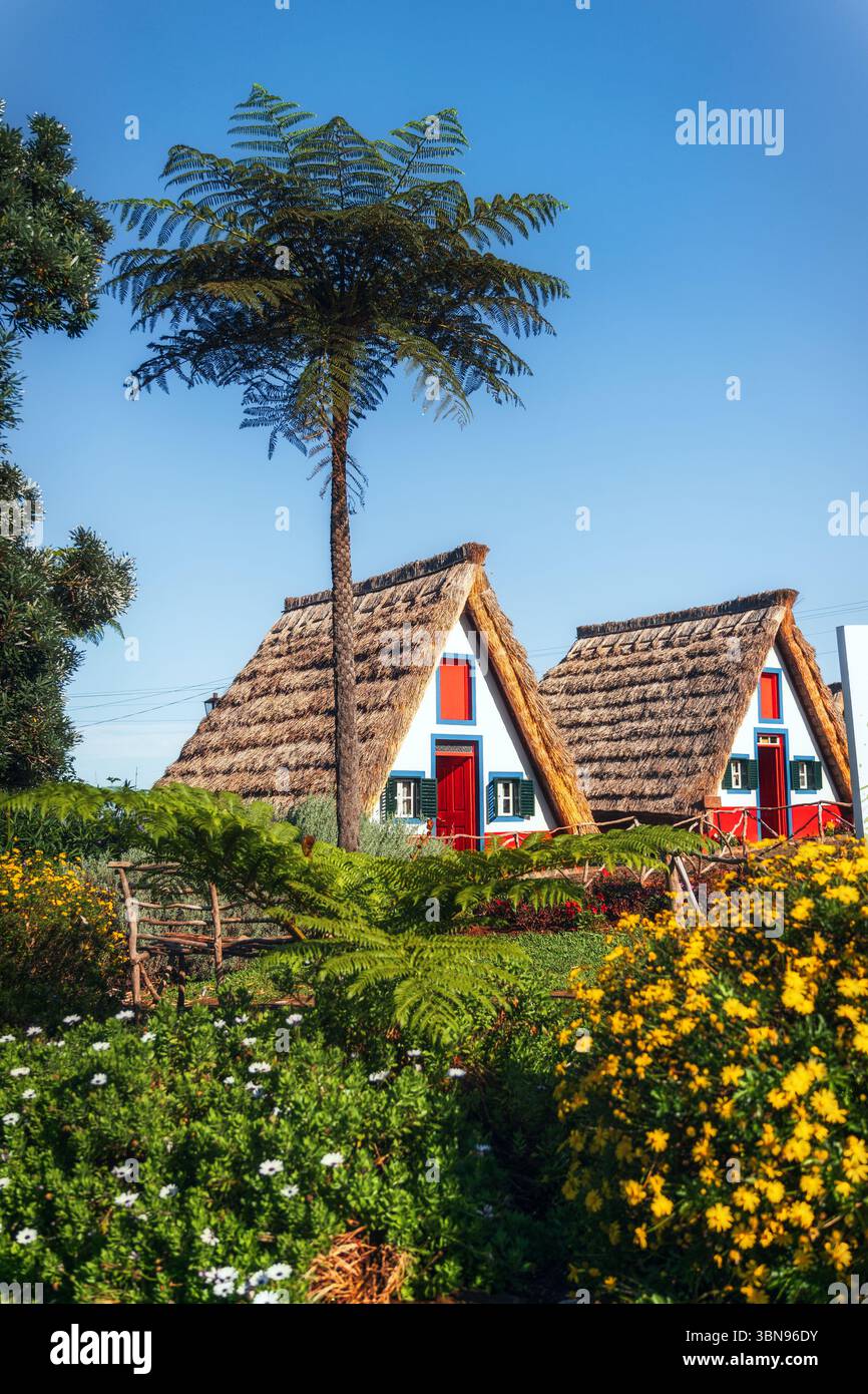 Traditional Madeiran houses in the town of Santana on the island of ...