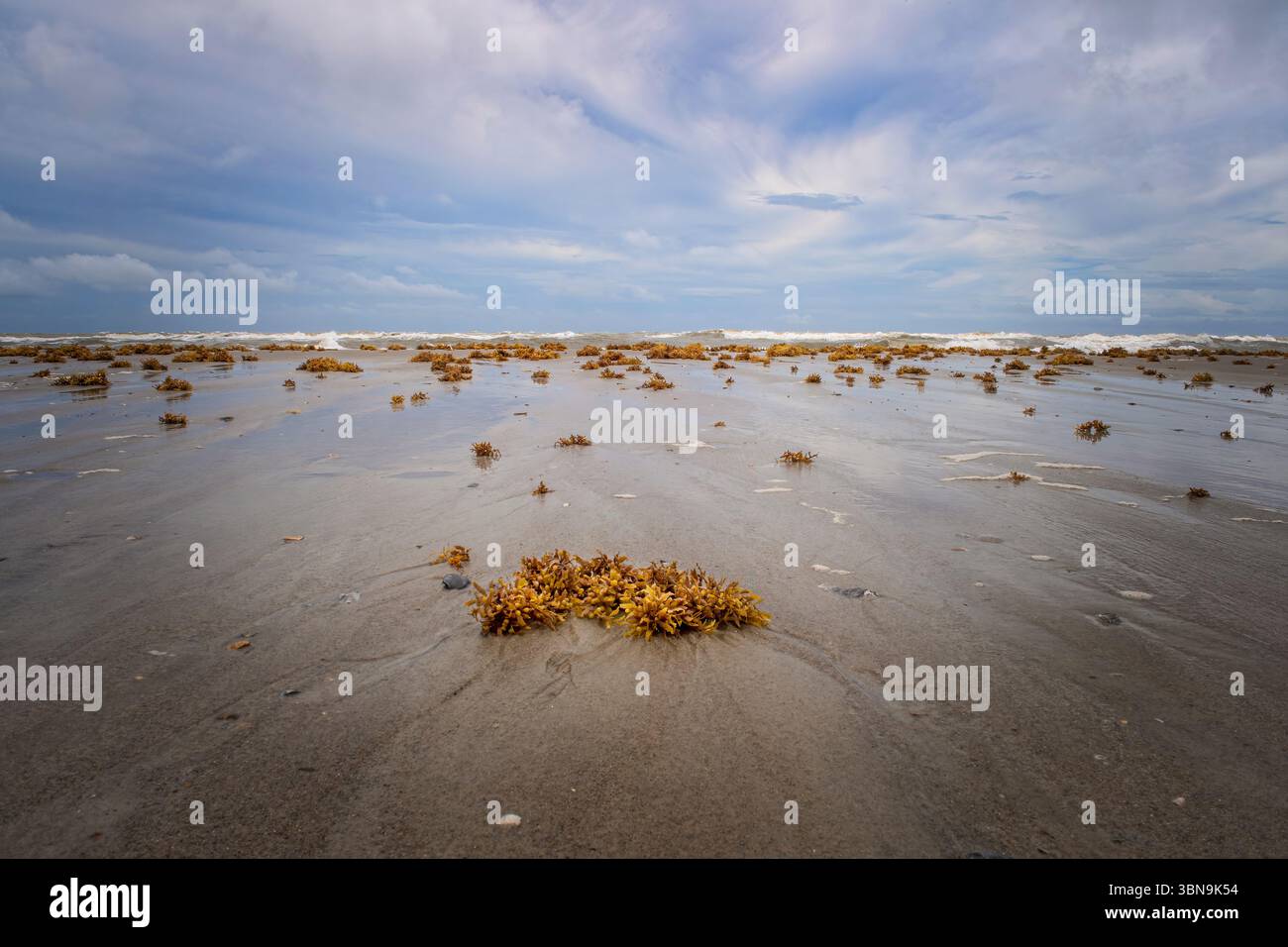 Low angle beach waves hi-res stock photography and images - Alamy