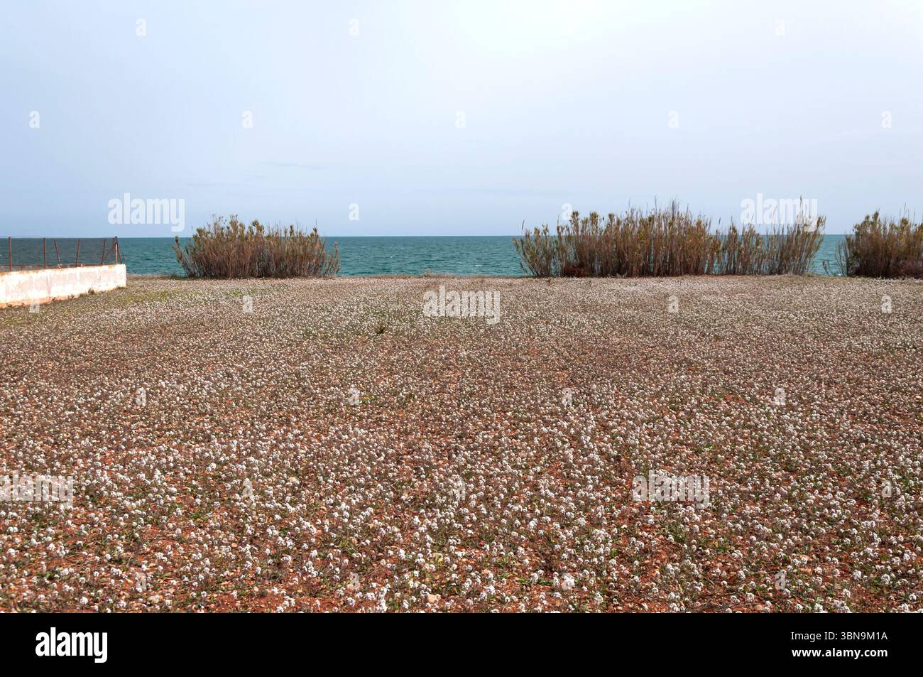 Mediterranean food location hi-res stock photography and images - Alamy