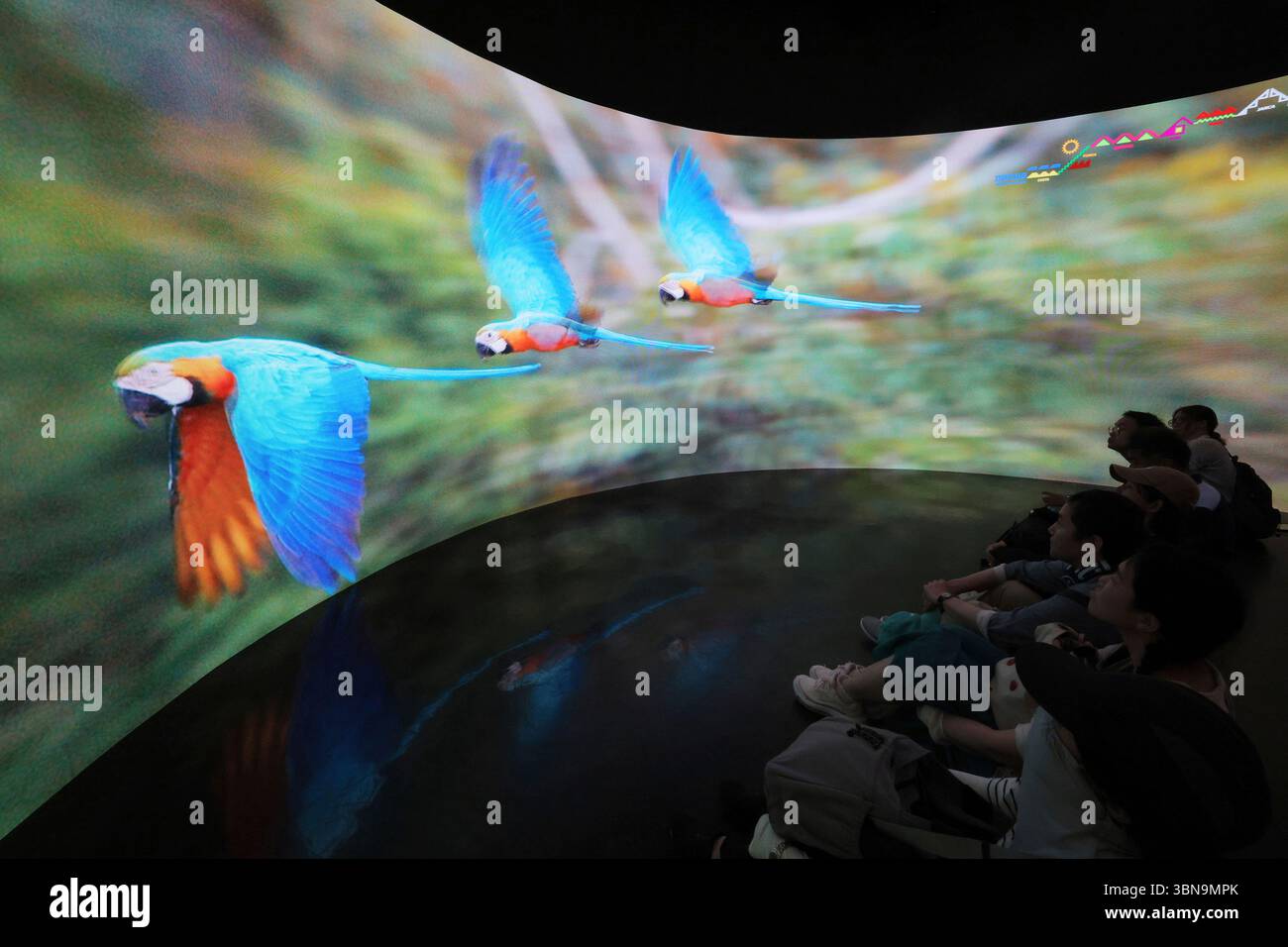 A photo shows the interior of the Peru pavilion of the Osaka Kansai ...