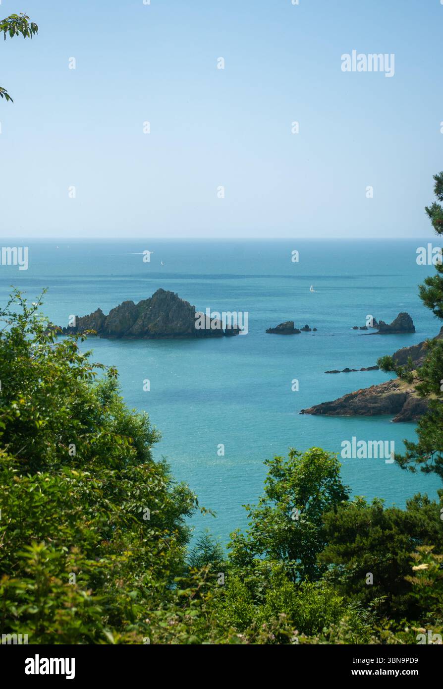 The Mew Stone In The English Channel Near The Mouth Of The River Dart ...