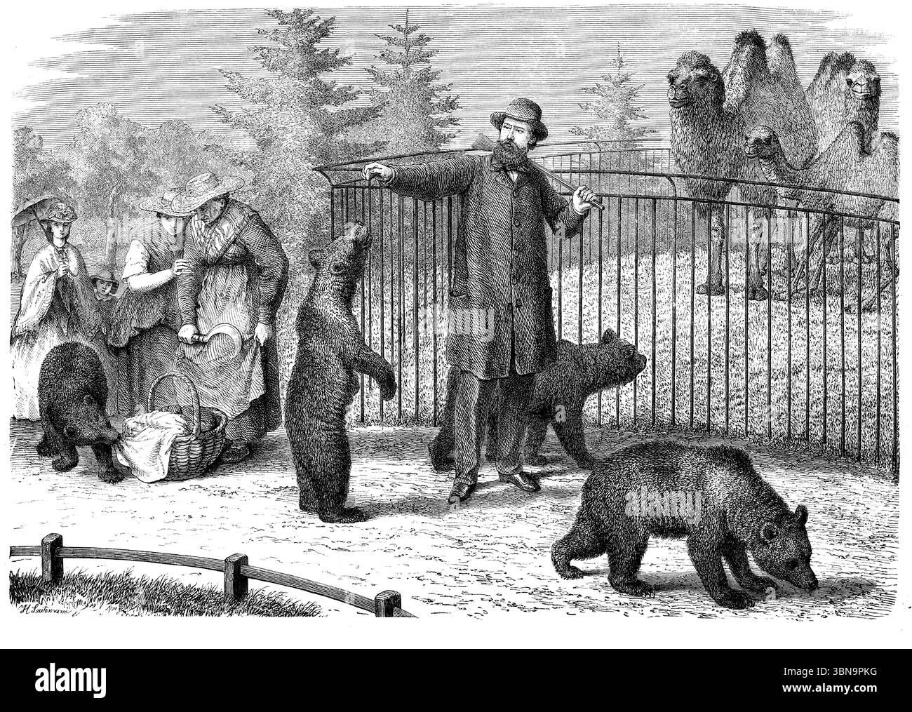 Visitor at Hagenbeck zoo in Hamburg interact with free bear cubs, 19th ...