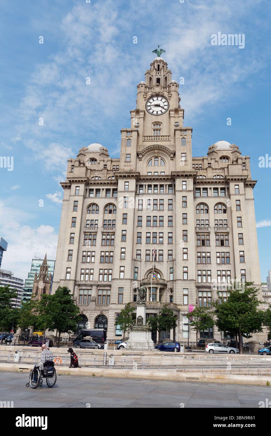 Liverpool dog liverpool pier head hi-res stock photography and images ...