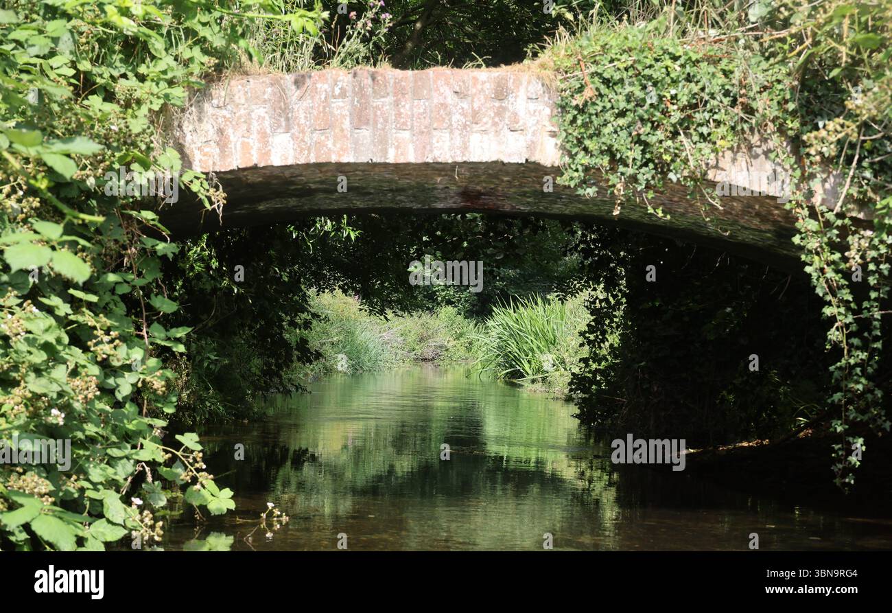 Centerbury, UK. 29th June, 2025. CANTERBURY, ENGLAND:- Bridge over The ...