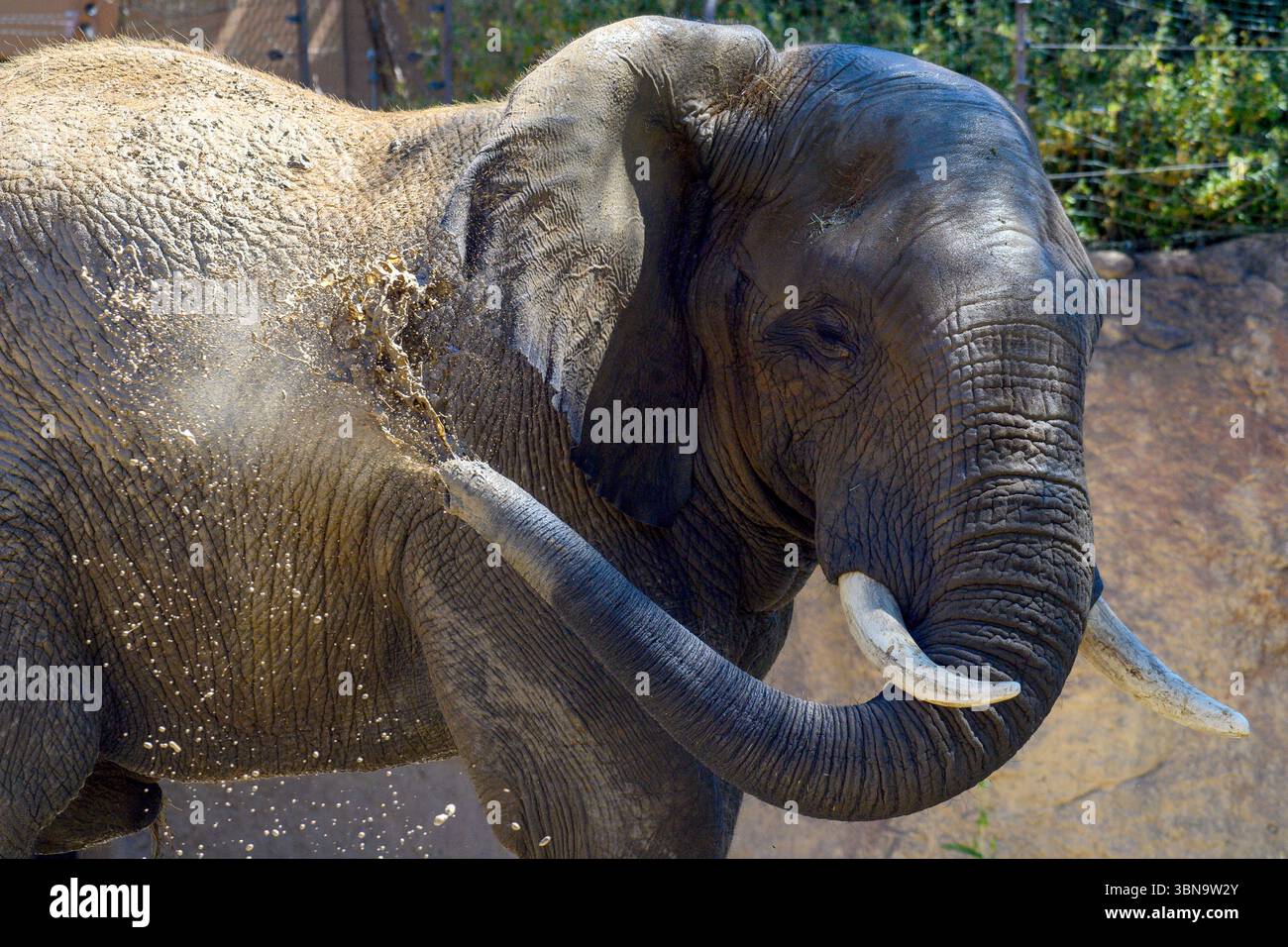 Mud sun 2025 hi-res stock photography and images - Alamy