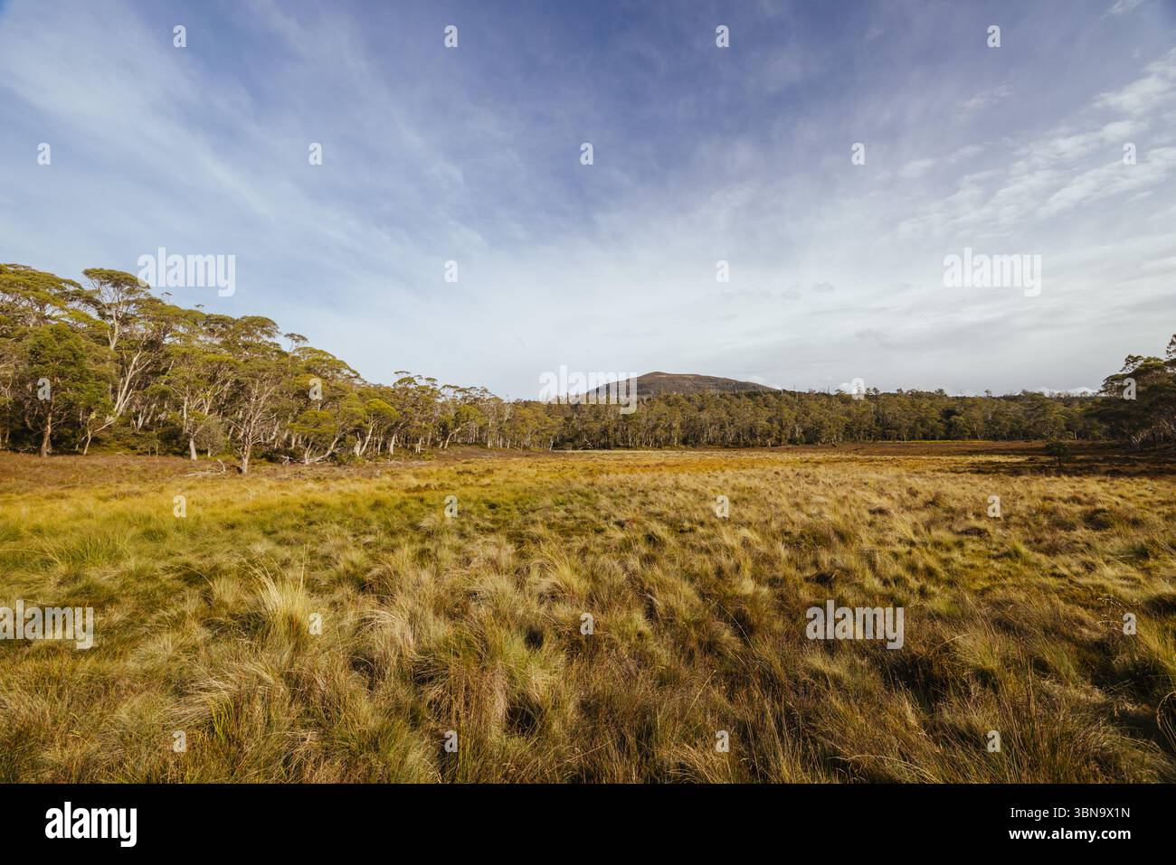 Arm River Track in Tasmania Australia Stock Photo - Alamy