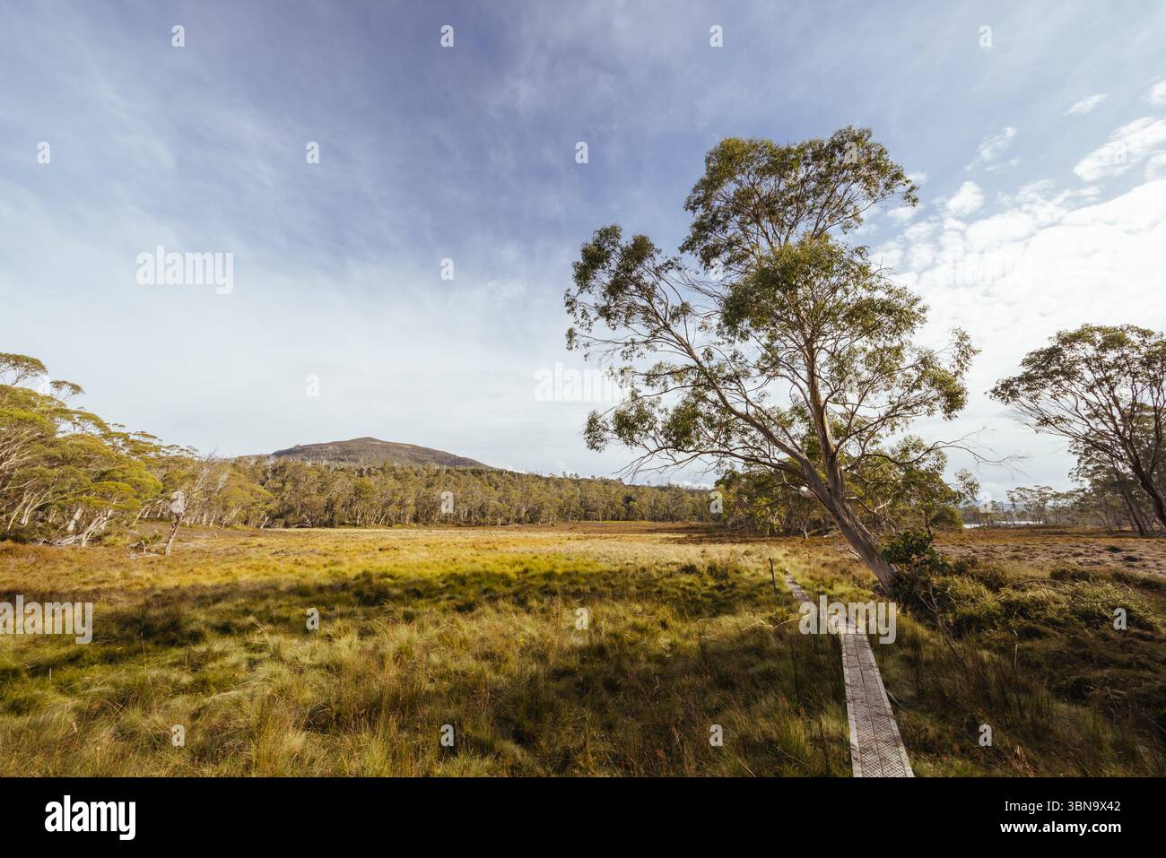 Arm River Track in Tasmania Australia Stock Photo - Alamy