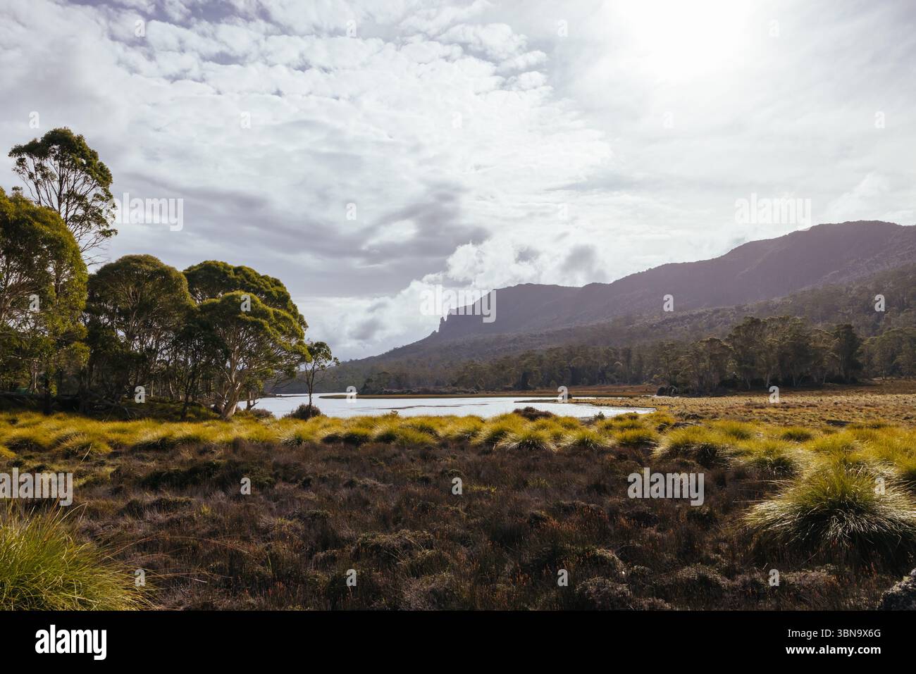 Arm River Track in Tasmania Australia Stock Photo - Alamy