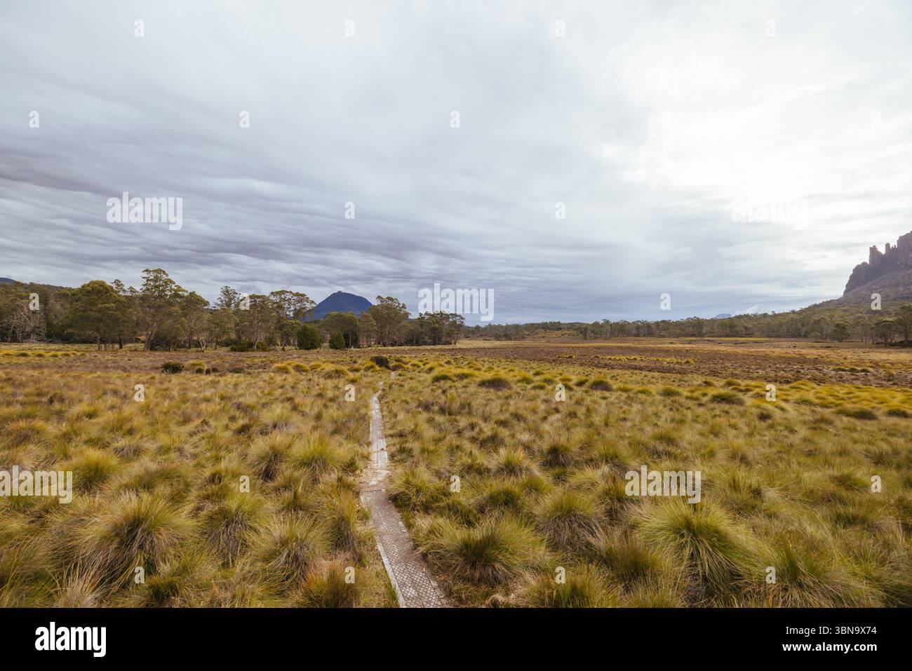 Arm River Track in Tasmania Australia Stock Photo - Alamy