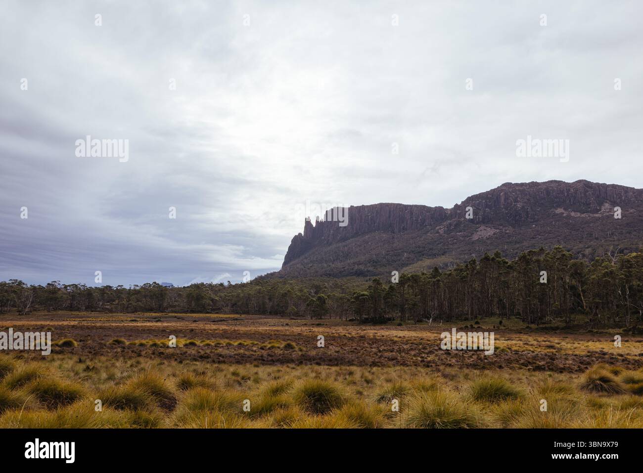 Arm River Track in Tasmania Australia Stock Photo - Alamy