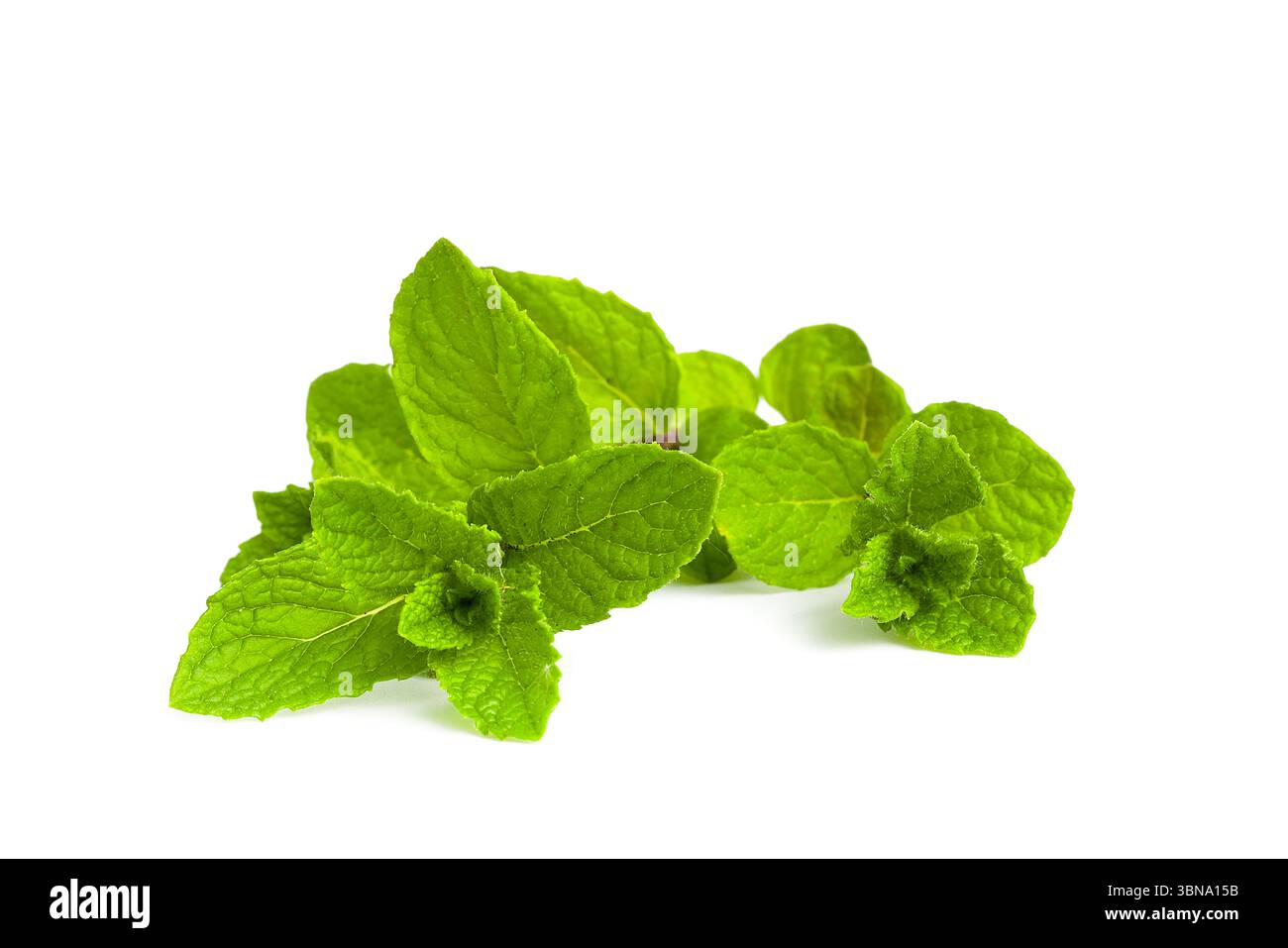 Rich visual texture Cut Out Stock Images & Pictures - Alamy