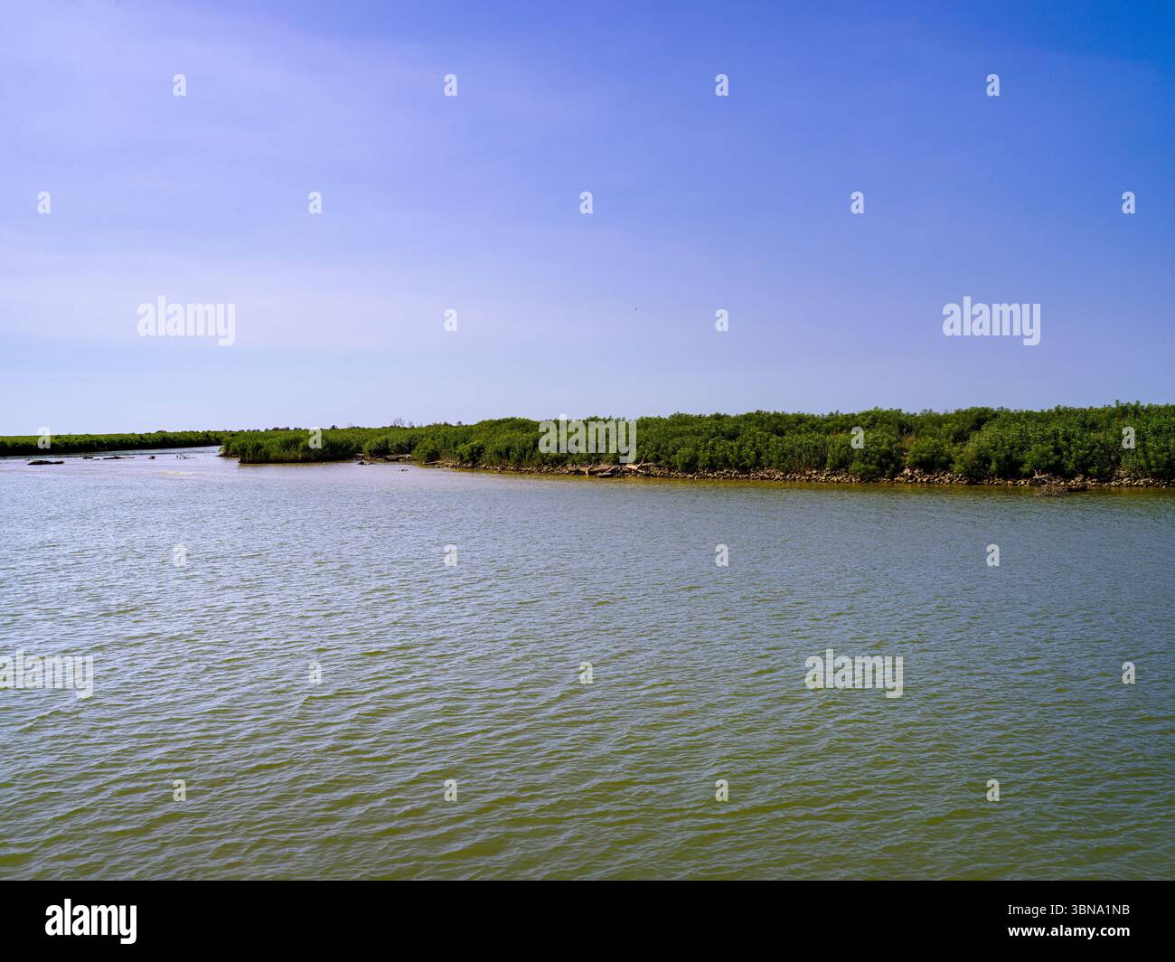 Lagoon landscape crossed by a strip of green Stock Photo - Alamy