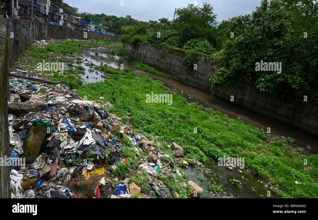 MUMBAI, INDIA - JUNE 30: View of the polluted Mithi River at Filter Pada in the Powai area on ...