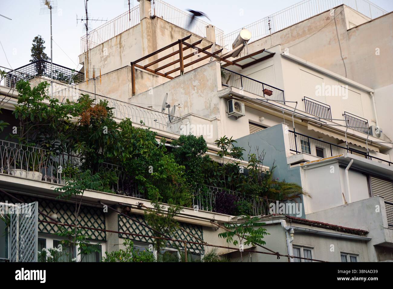 Pergola in athens greece hi-res stock photography and images - Alamy